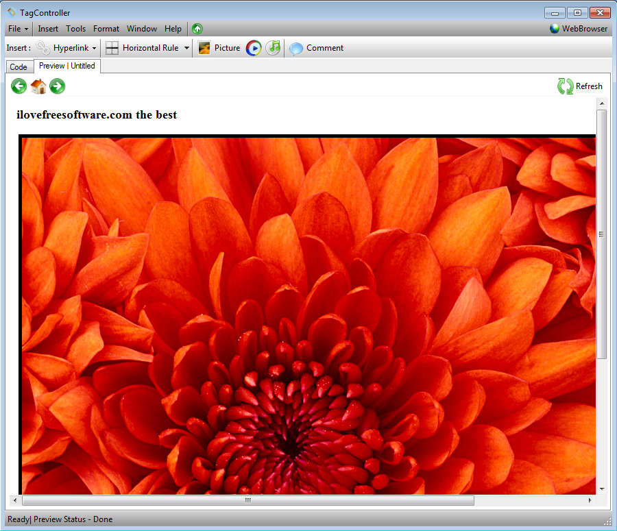 Free HTML Editor for Website Creation: Tag Controller