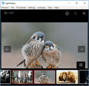 Free Image Viewer, Play Animated GIFs and Image Slideshow