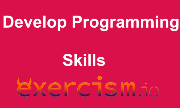Develop Programming Skills by Solving Programming Exercises