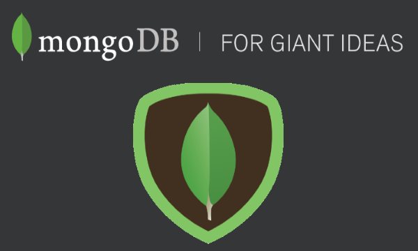 5 Free MongoDB IDE For Windows