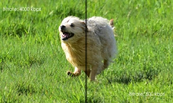 4 Video Bitrate Changer Online Free