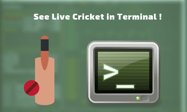 How to See Live Cricket Score with Commentary in Terminal