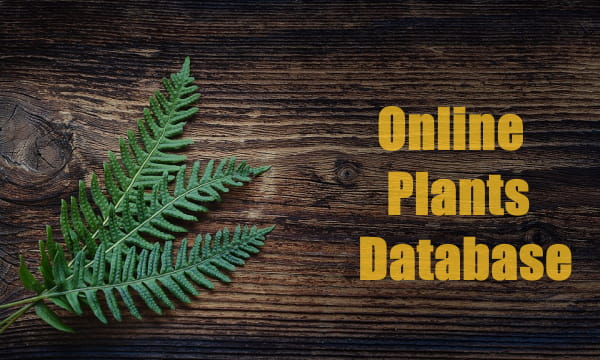 4 Free Online Plants Database Websites