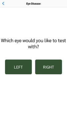 Get your Eyes Checked at home using AI with this Free App